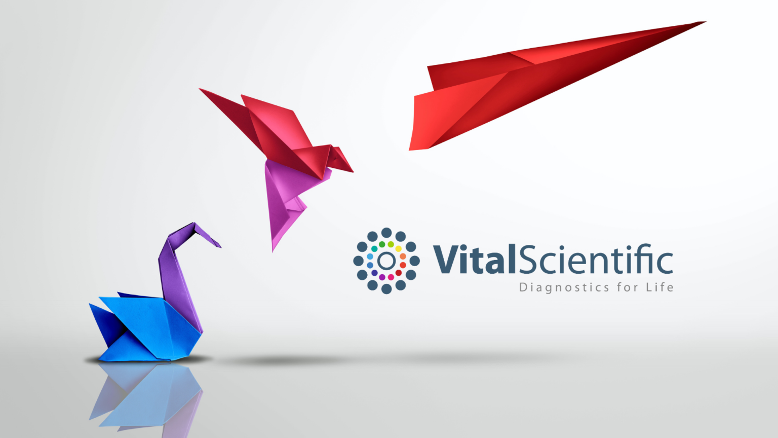 Clinical Chemistry International - VitalScientific